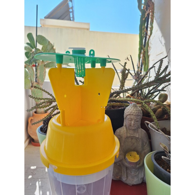 E-funnel trap for coleoptera
