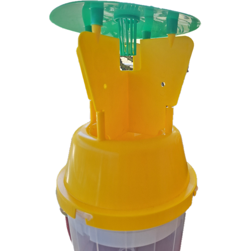 E-funnel trap for coleoptera